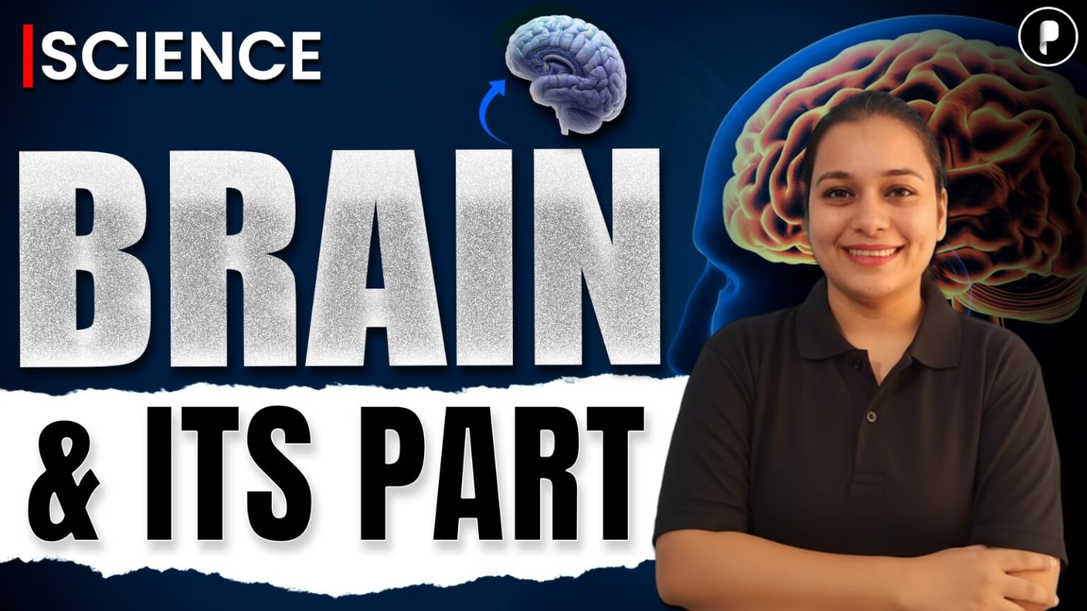 Human Brain Structure & Functions | Biology Class for SSC, NDA, CDS ...